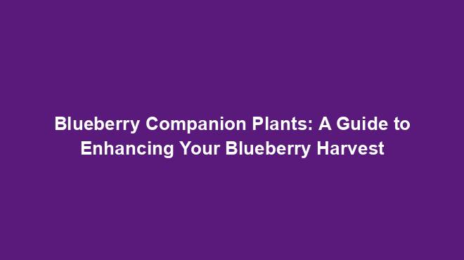 Blueberry Companion Plants: A Guide to Enhancing Your Blueberry Harvest ...