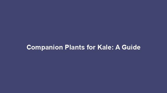 Companion Plants for Kale: A Guide - Gardener Guidance