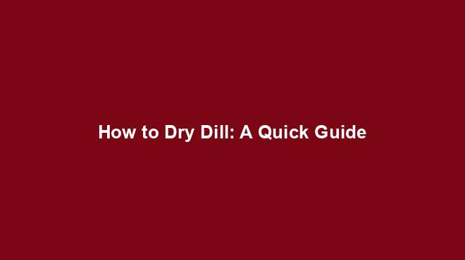 How to Dry Dill: A Quick Guide - Gardener Guidance