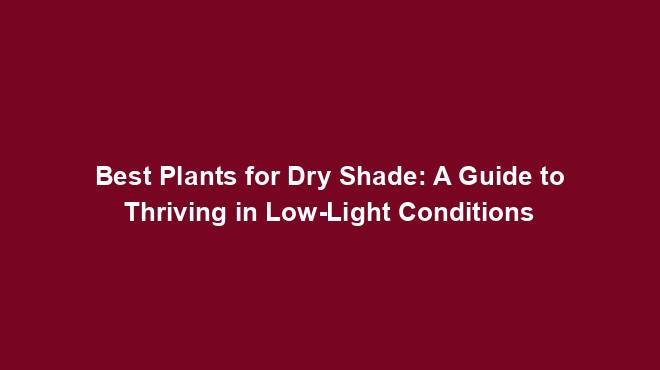 Best Plants for Dry Shade: A Guide to Thriving in Low-Light Conditions ...