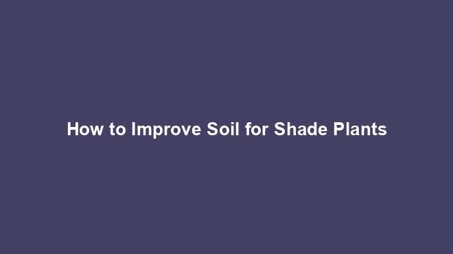 How to Improve Soil for Shade Plants - Gardener Guidance
