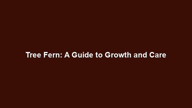 Tree Fern: A Guide to Growth and Care - Gardener Guidance