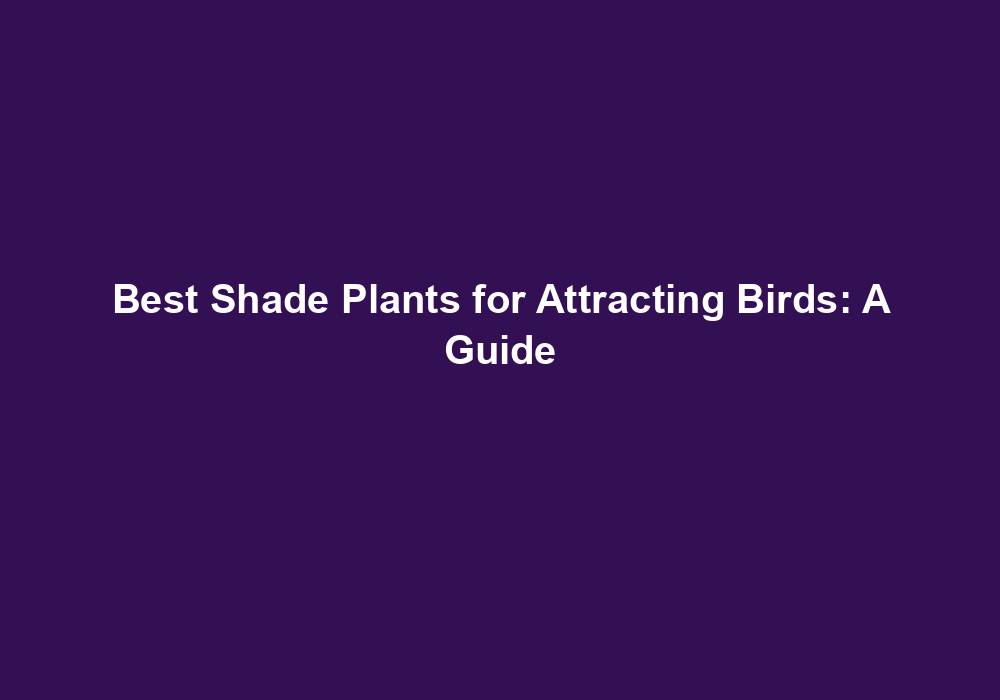 Best Shade Plants for Attracting Birds: A Guide - Gardener Guidance