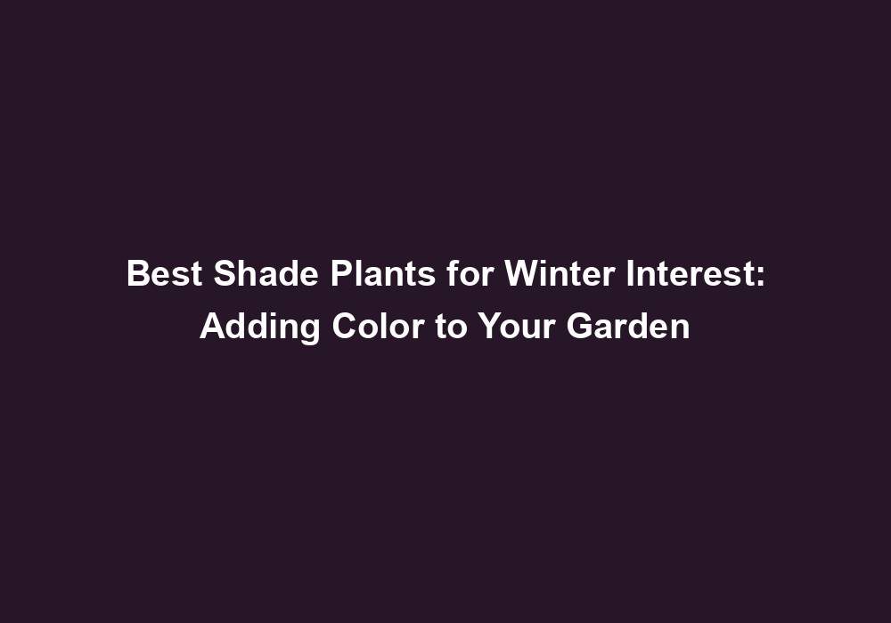 Best Shade Plants for Winter Interest: Adding Color to Your Garden ...