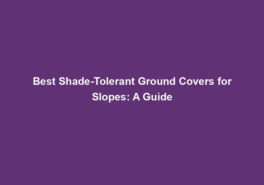 Best Shade-Tolerant Ground Covers for Slopes: A Guide - Gardener Guidance
